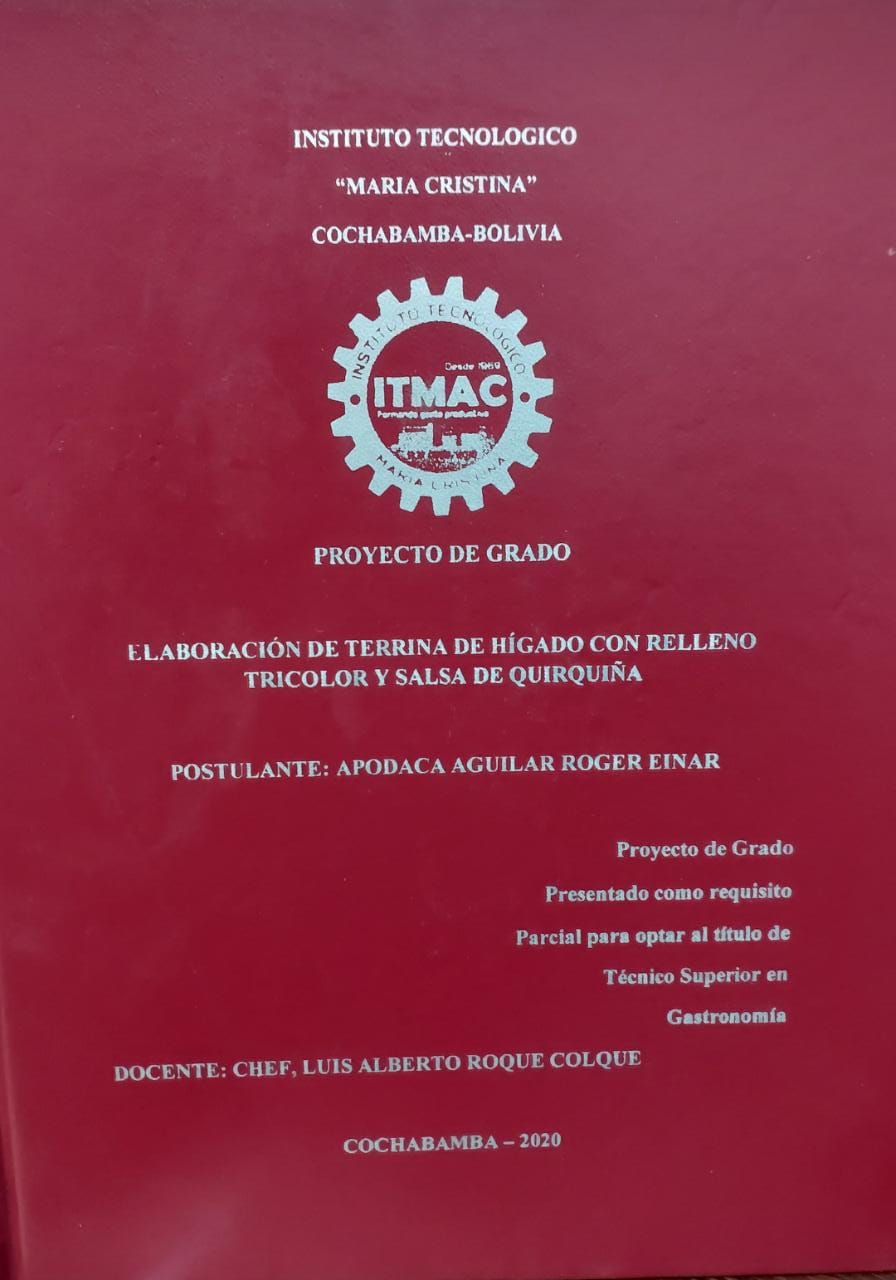 Ver item | Repositorio